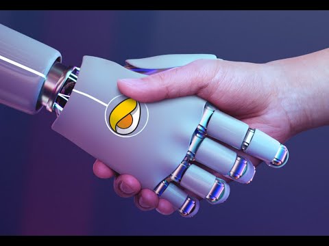 Computer Visions System for Damaged Yolk Optical Recognition - Artificial Intelligence in OVO-TECH