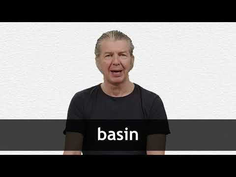 How to pronounce BASIN in American English