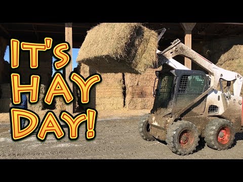 Its HAY Day