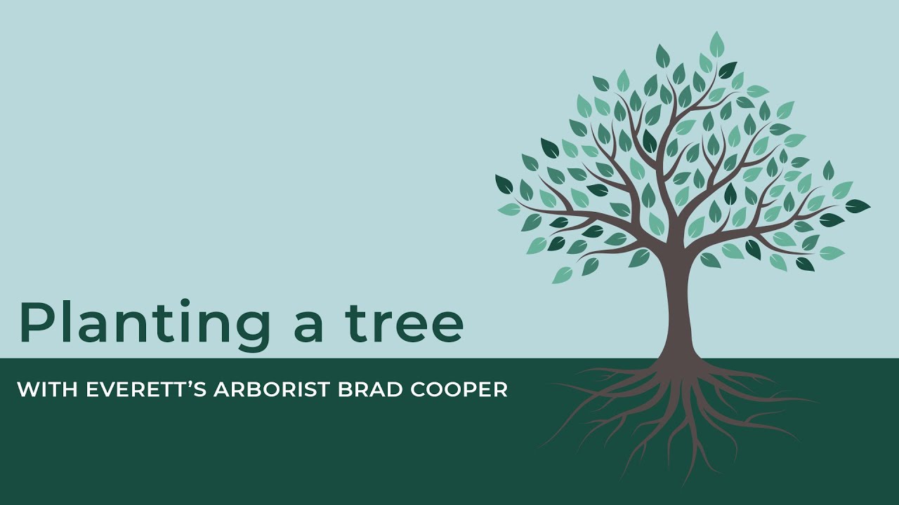Arbor Day Tree Planting 2021