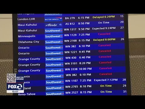 Southwest Airlines cancels 81 flights at San Jose airport as Hilary lands in SoCal