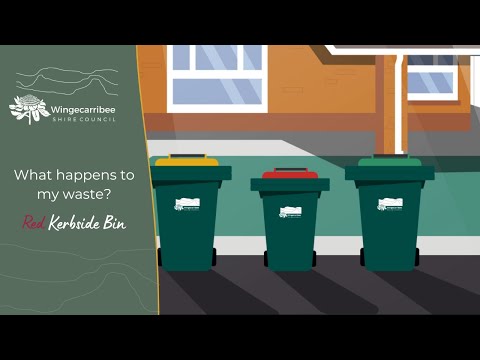 What happens to my waste? Red Landfill Bin.