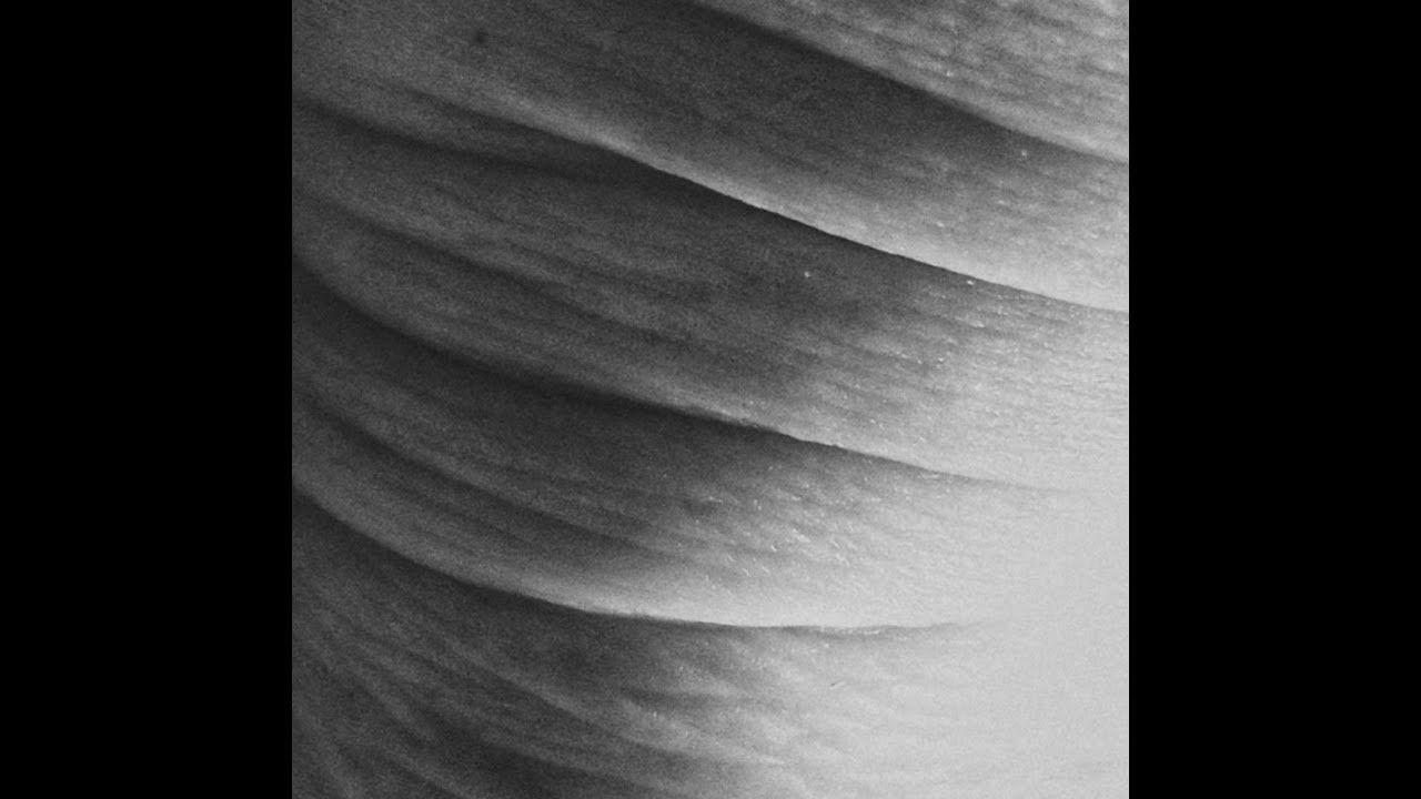 Photo Student Showcase Human Figure