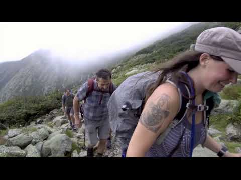 Windows to the Wild: Mt Top Wedding