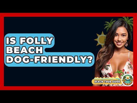 Is Folly Beach Dog-friendly? - Beach Tour Guide
