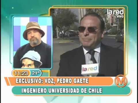 DECLARACIONES DEL INGENIERO PEDRO GAETE SOBRE LOS TERREMOTOS EN CHILE ...
