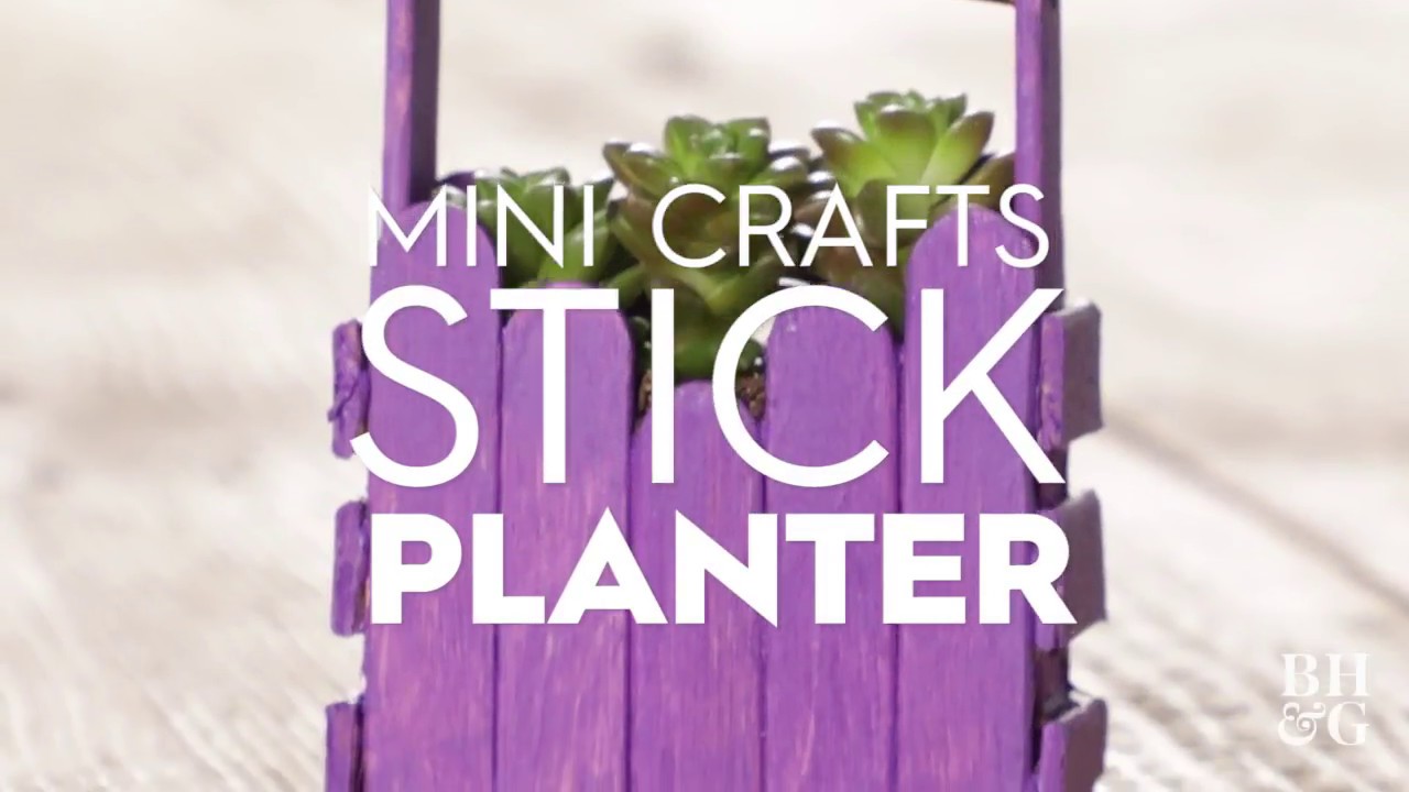 Mini Crafts Stick Planter
