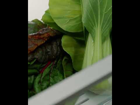Fisher & Paykel: Master temperature with Fridge Mode