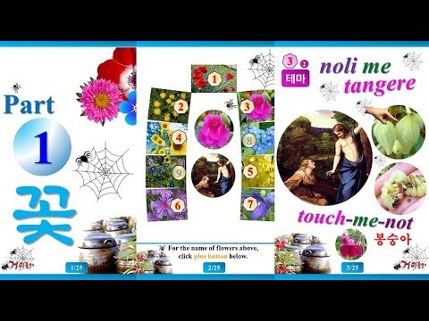 Flower Series-08-"Touch-me-not"-02 [Without Narration]