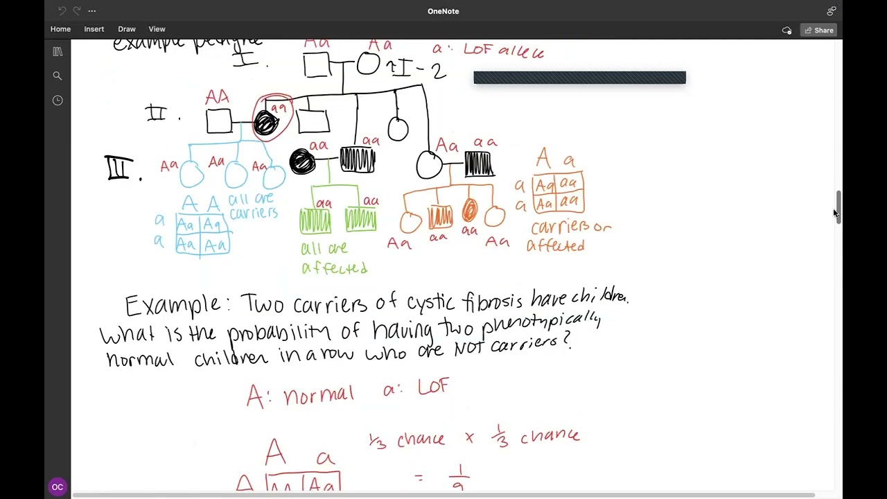 Genetics Exam 1 Review