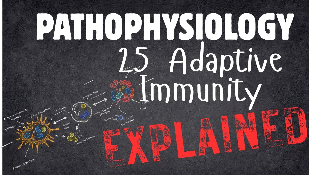 PATHOPHYSIOLOGY essentials EXPLAINED 25 -- Adaptive Immunity