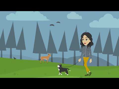 eClinical Solutions Data Services & the elluminate Clinical Data Cloud