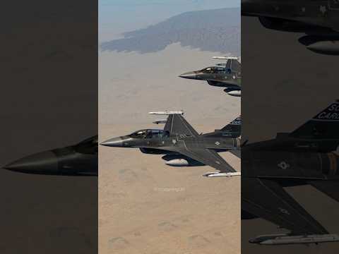 F-16D Blk 52 169th FW “Swamp Fox” - Training sortie | Falcon BMS