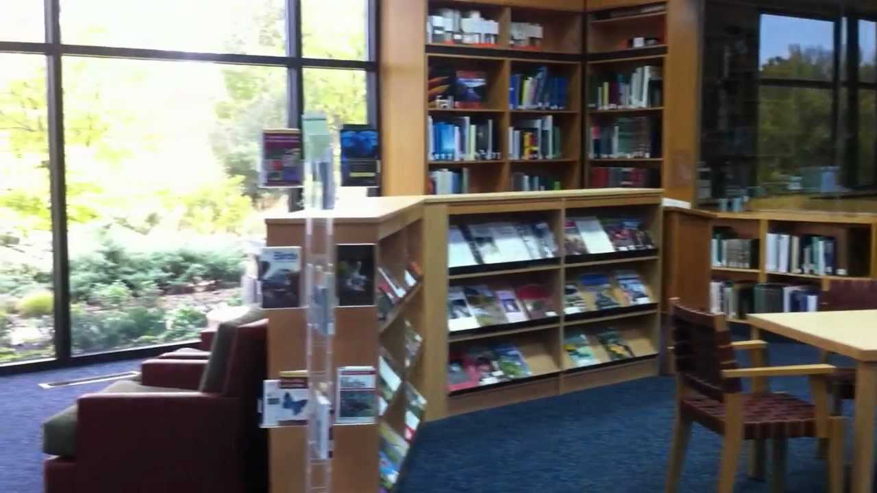 Library Renovations