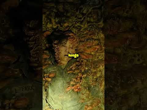 how Spores work in The Last of us 2!