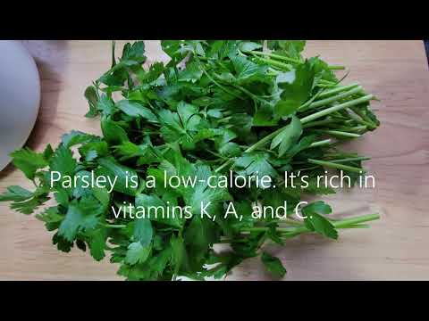 Benefits of Parsley for Pigeons | Racing homer Pigeon