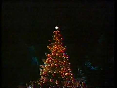 I'd Like To Teach The World To Sing 1970s Coca Cola Christmas Commercial
