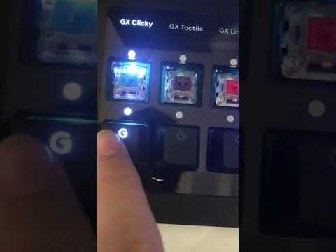 The difference between GX clicky,tactile,linear Logitech switches!