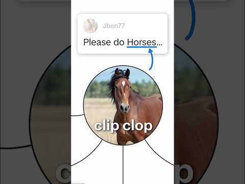 Horses EXPLAINED! ๐๐