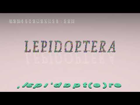 lepidoptera - pronunciation in British English (three voices / accents)