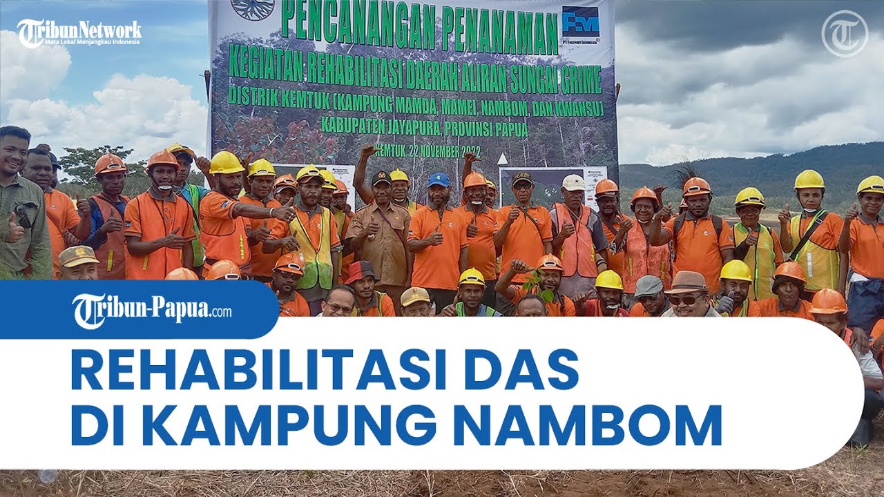 Lakukan Penanaman Pohon, PT Freeport Indonesia Rehabilitasi Daerah ...