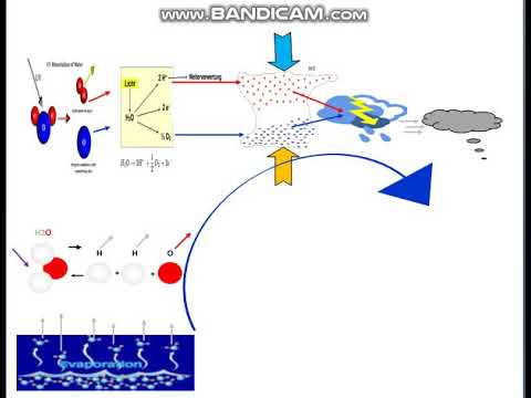 Does water vapor really rise like H2O, a compound body ?