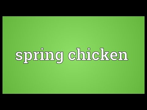Spring chicken Meaning