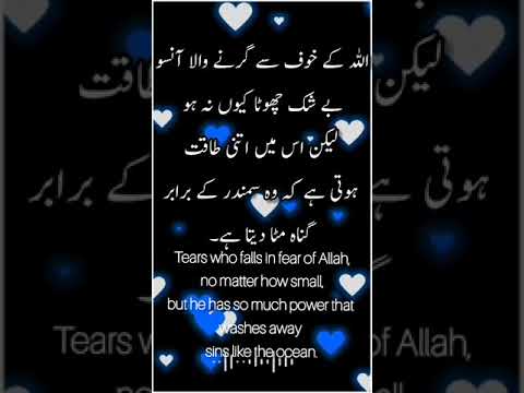 Islamic quotes in urdu& English