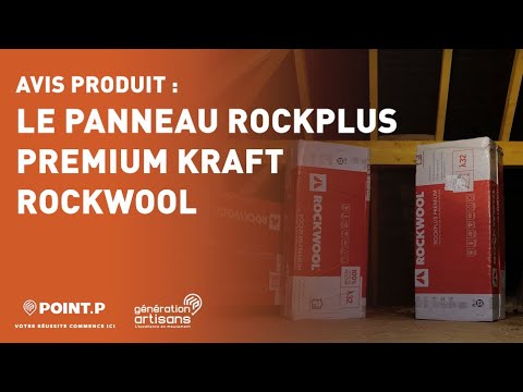 ROCKWOOL - Panneau isolant Rockplus Premium Kraft pour mur intérieur - laine de roche - ép. 101 ...