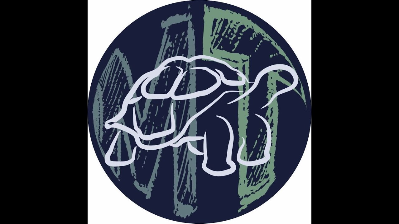 Math Foundations LIVE EXAM REVIEW