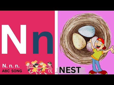 Words That Start with N | Fun Learning ABC Song for Kids | Alphabet Letters | ADVENTURE AWAITS!
