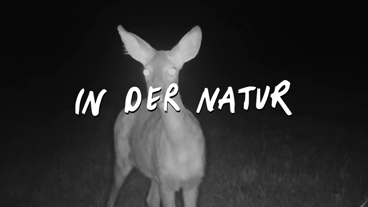 In Der Natur by Deichkind Insights | Popnable