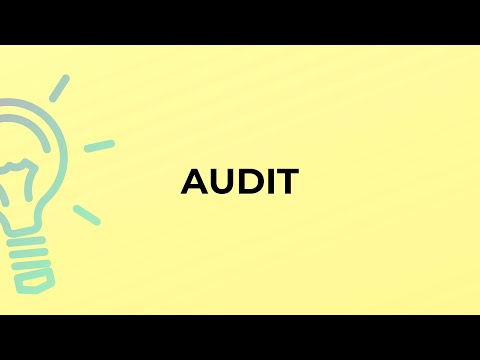 What is the meaning of the word AUDIT?