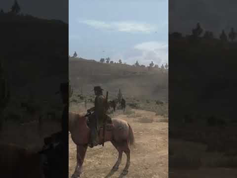 Red Dead Redemption 1 PS4-Is She ok