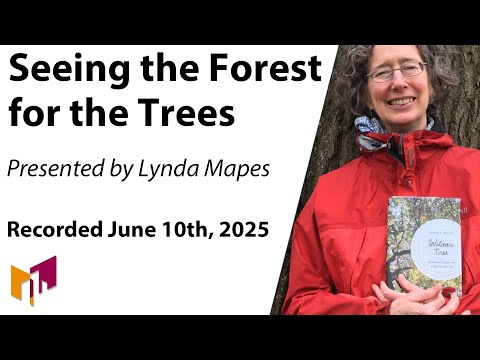 Seeing the Forest for the Trees - Lynda Mapes from The Seattle Times