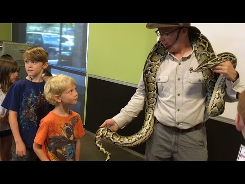 Python Facts for Kids