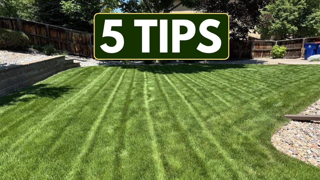5 PRO Tips - Lawn Care Tips for Beginners