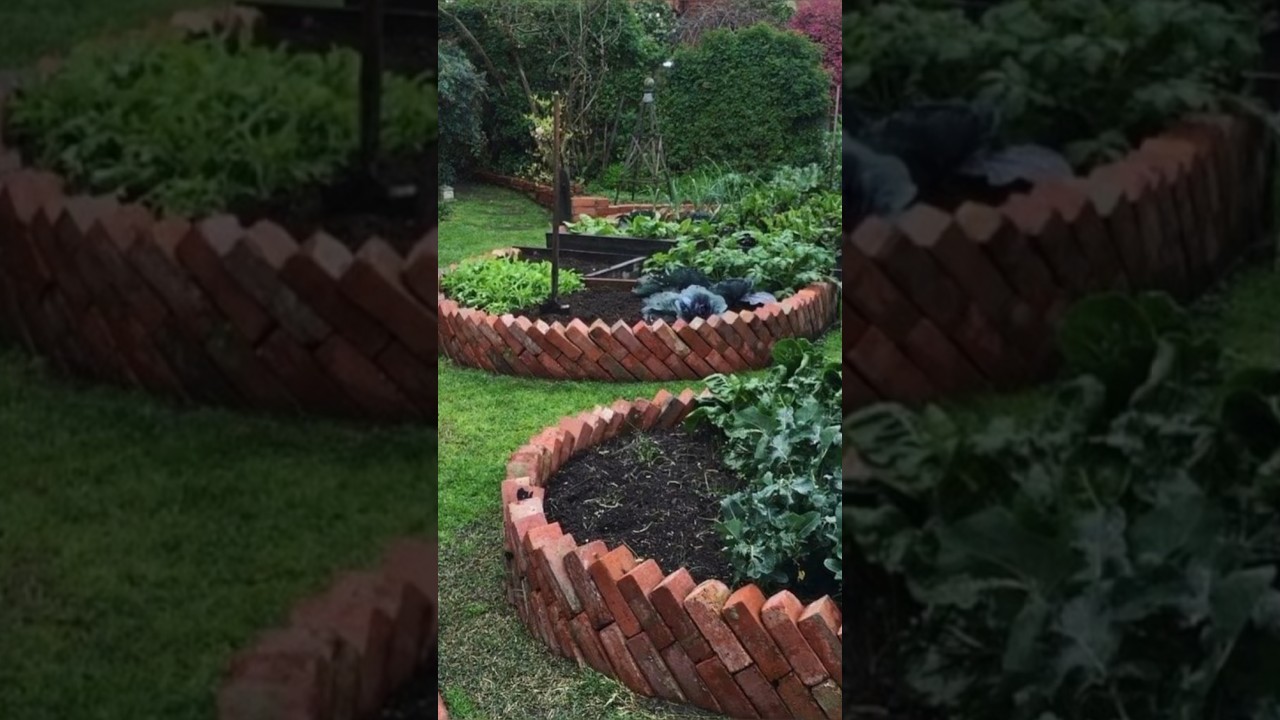 Great ideas for GARDEN home