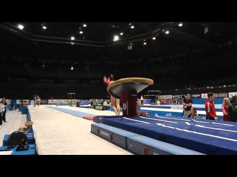 best Vaulter all time – Gymnastics Coaching.com