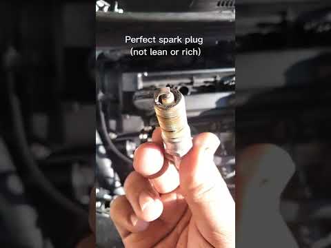 Reading your spark plugs and what it means for your engine#shorts