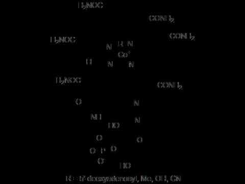 Vitamin B12 | Wikipedia audio article