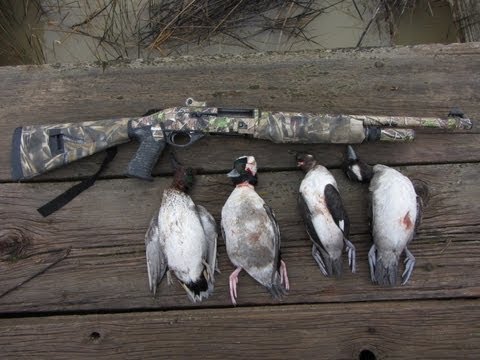 Benelli M2 Tactical Design Flaw (Solution) by TheGearTester