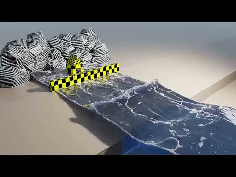 Coastal Defence (Seawalls and Beach Nourishment)