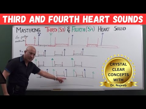 Mastering S3 and S4 | Learn Third and Fourth Heart Sounds🫀