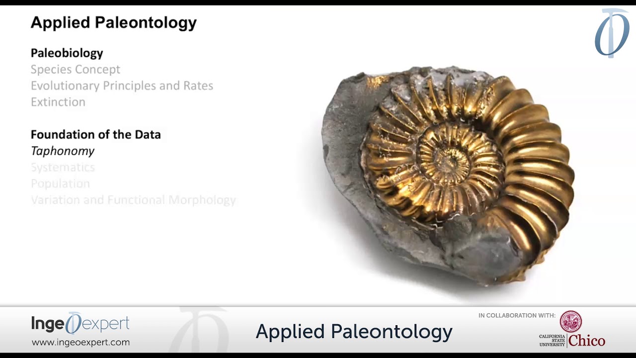 Applied Paleontology course