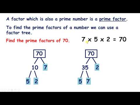 Identify prime factors using a factor tree