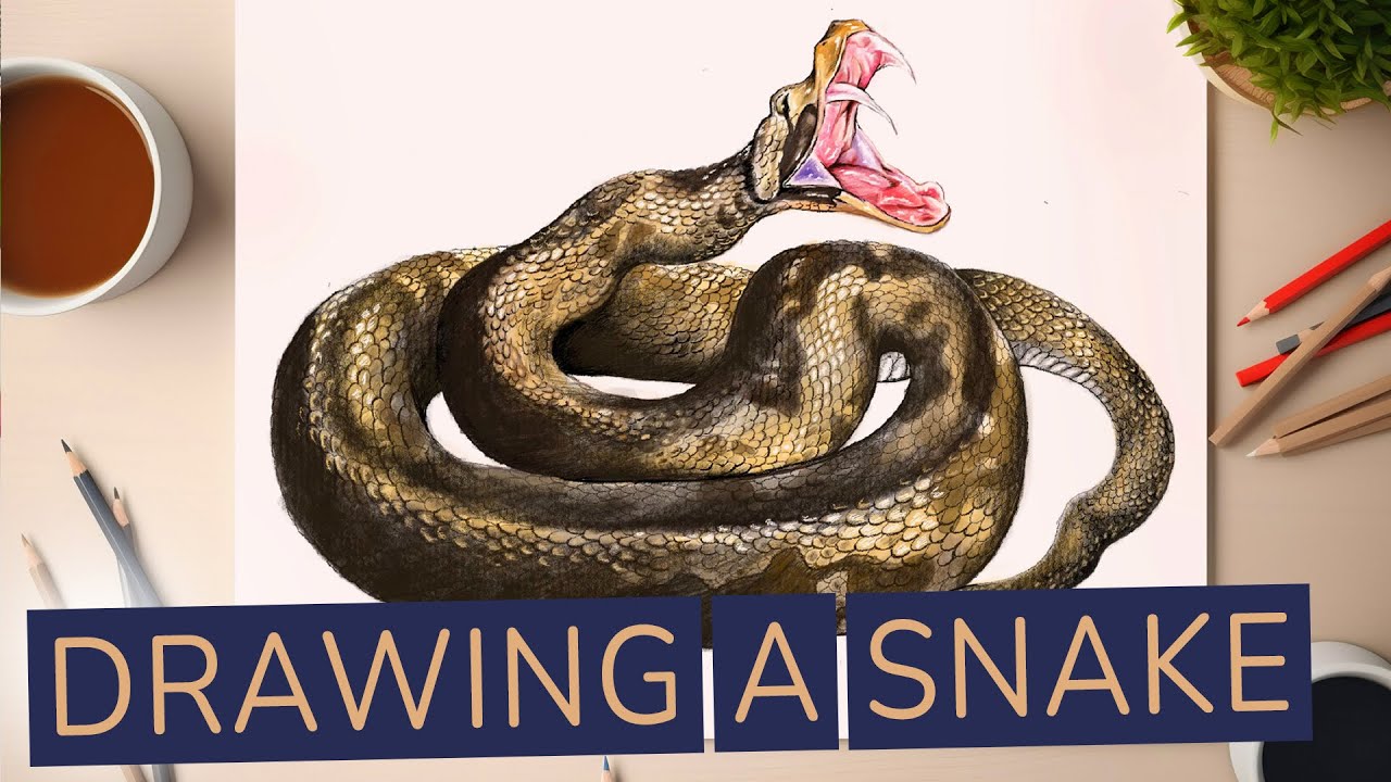 How to Draw a Snake - Ultra Realistic Result