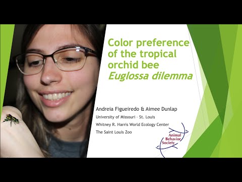 Color Preference in Orchid Bees – Dunlap Cognitive Ecology Lab