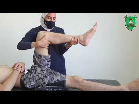 ROM Hip Internal and External Rotation
