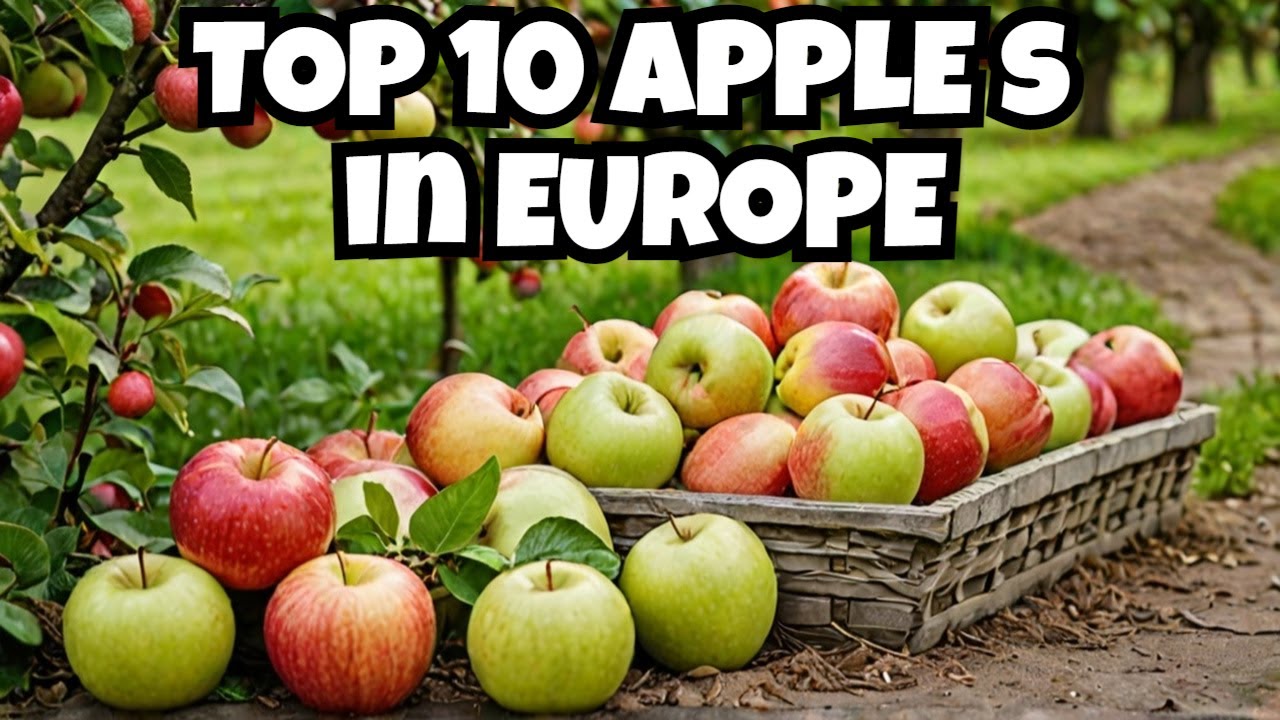 The 10 Best Apple Varieties You MUST Try In Europe
